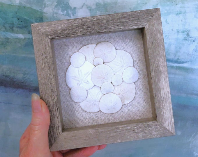 Coastal Currency - Small Sand Dollar Collage-tabletop/wall Art/decor ...