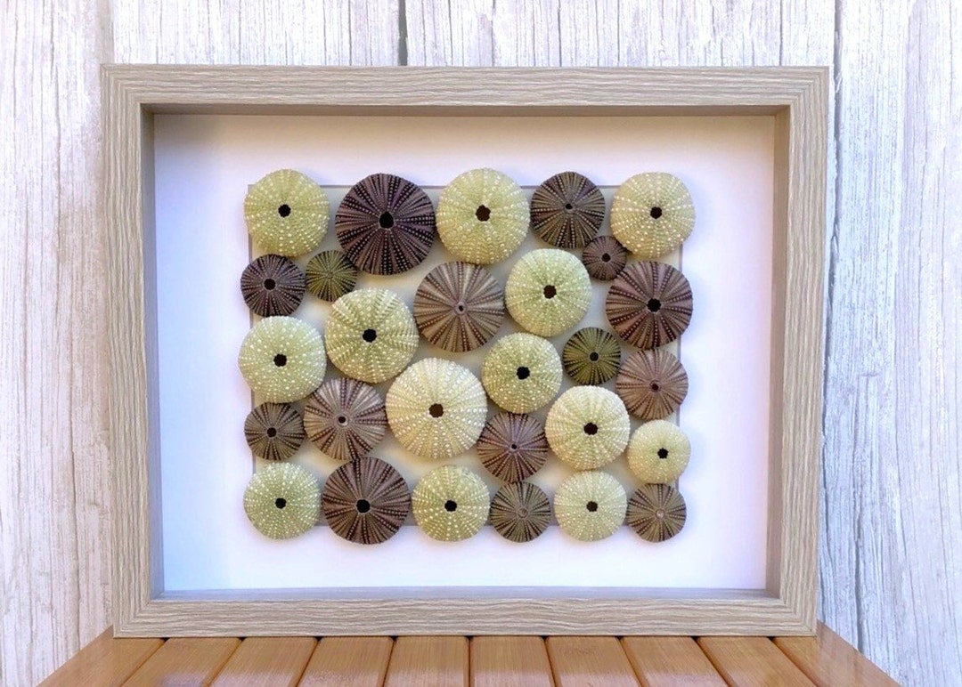 Sea Urchin Delight Pretty Green/purple Sea Urchin Shell Art Collage ...