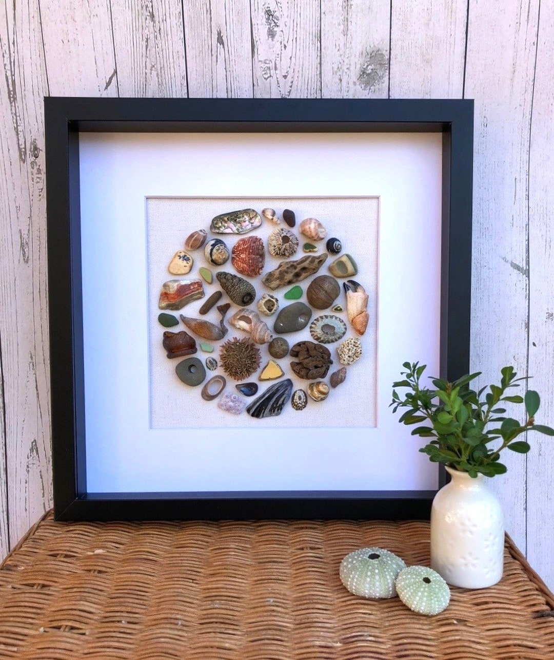 Gifts From the Sea framed Seashell Wall Art Collage/mosaic of Unique ...