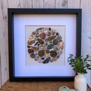 Gifts From the Sea framed Seashell Wall Art Collage/mosaic of Unique ...