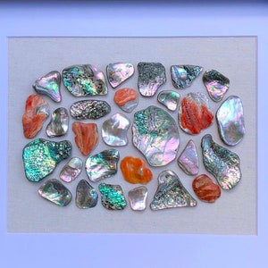 Shine Like It Does Abalone Shell Shadowbox Wall Art. Natural/ethical ...