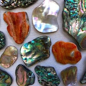 Shine Like It Does Abalone Shell Shadowbox Wall Art. Natural/ethical ...