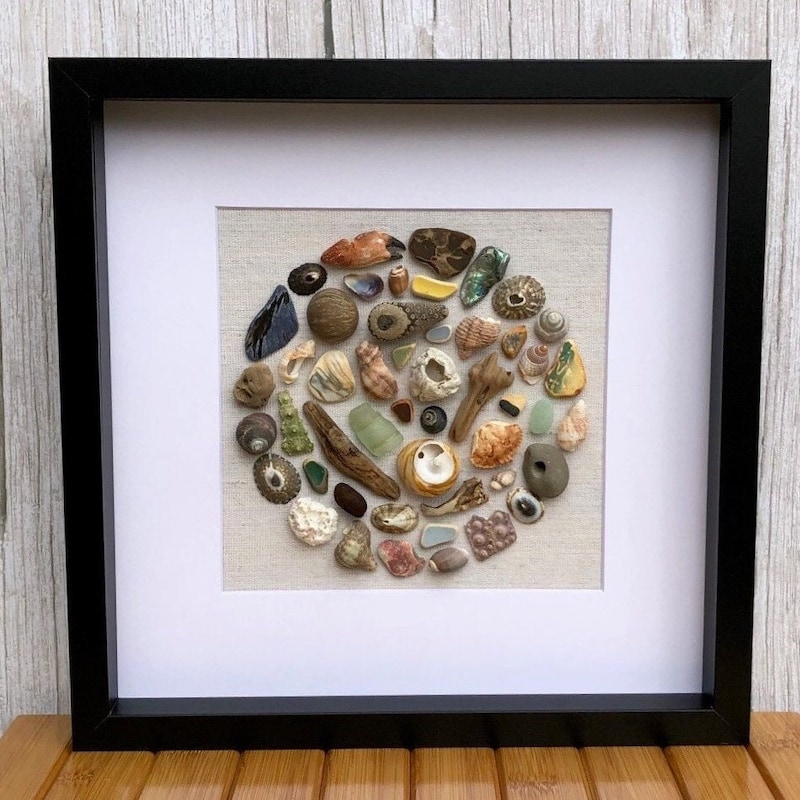 Framed Seashell - Etsy