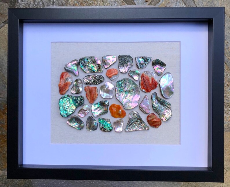 Shine Like It Does Abalone Shell Shadowbox Wall Art. Natural/ethical ...