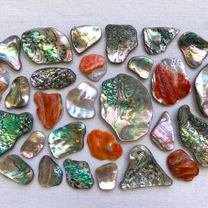 Shine Like It Does Abalone Shell Shadowbox Wall Art. Natural/ethical ...