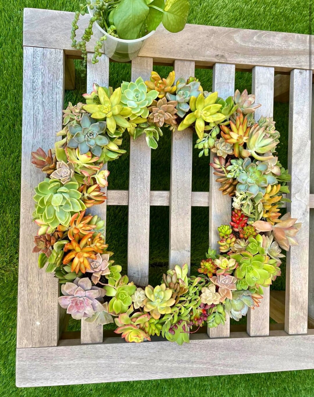 Box Crammed With Cuttings - Etsy