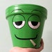 Stoner Frog Terra Cotta Flower Pot - Etsy
