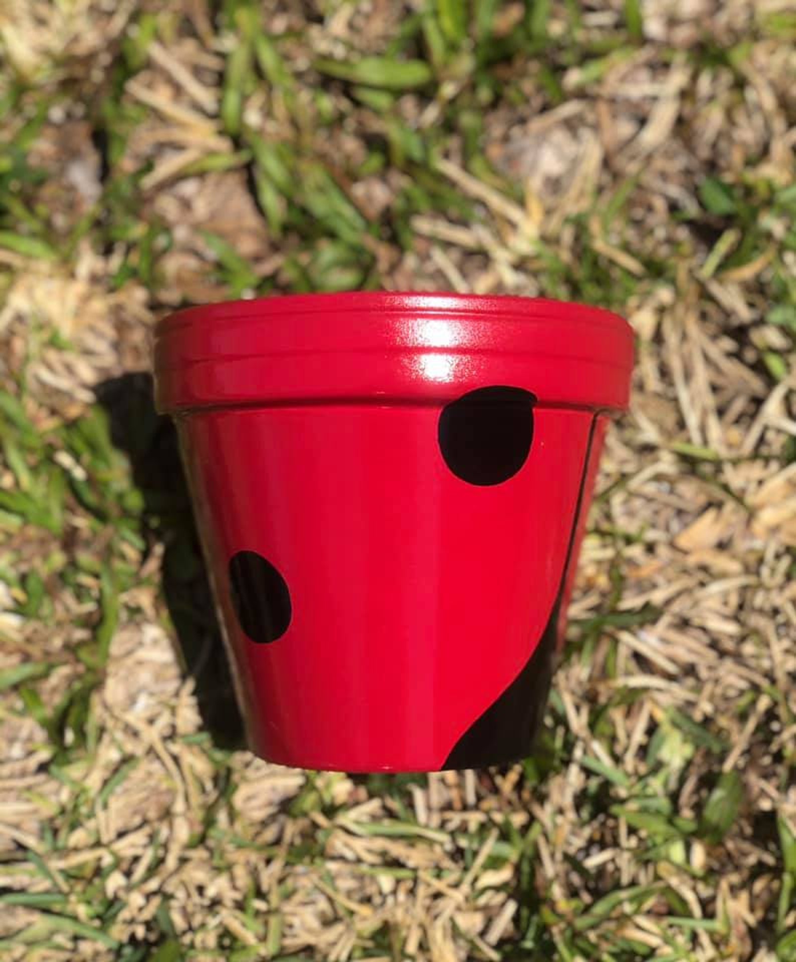 Ladybug Themed, Hand Painted Terra Cotta Pot, 6 Inch Planter Pot, Pot W ...