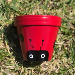 Ladybug Themed, Hand Painted Terra Cotta Pot, 6 Inch Planter Pot, Pot W ...