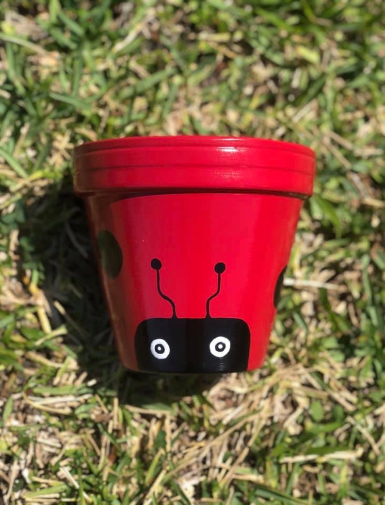 Ladybug Themed, Hand Painted Terra Cotta Pot, 6 Inch Planter Pot, Pot W ...