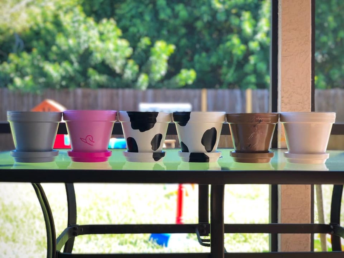 Farm Animal Themed Hand Painted Terracotta Pot Saucer Set 6 - Etsy