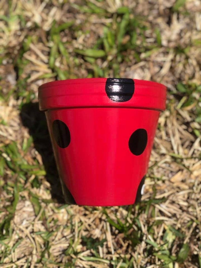 Ladybug Themed, Hand Painted Terra Cotta Pot, 6 Inch Planter Pot, Pot W ...