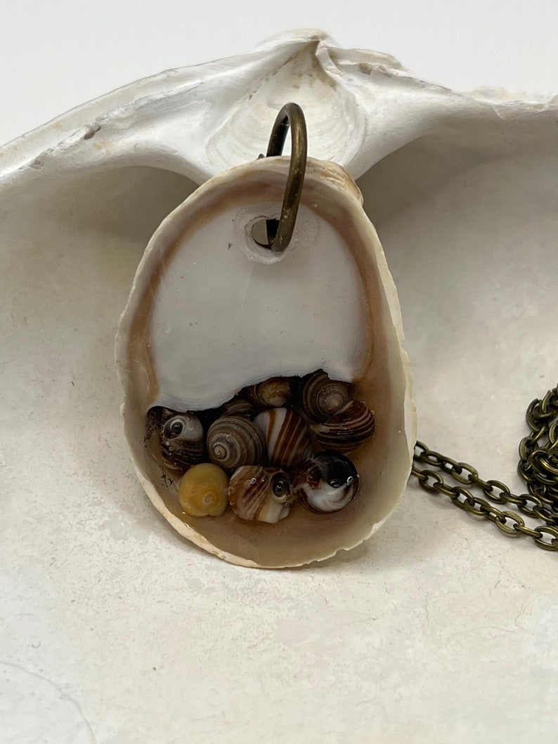 Lady Slipper Shell Periwinkle Necklace - Etsy