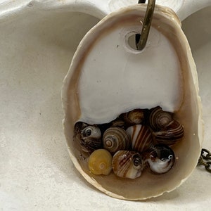 Lady Slipper Shell Periwinkle Necklace - Etsy