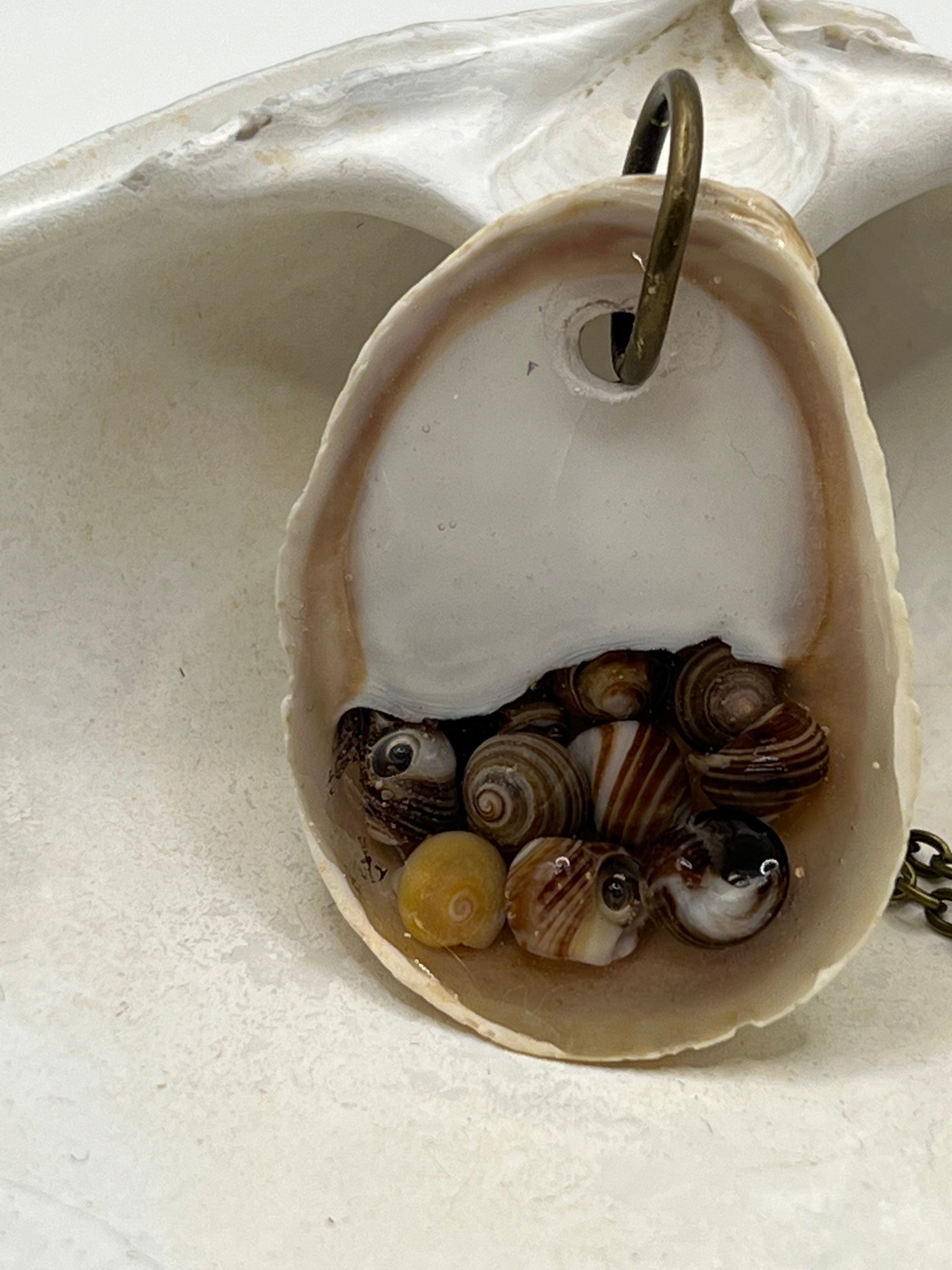 Lady Slipper Shell Periwinkle Necklace - Etsy