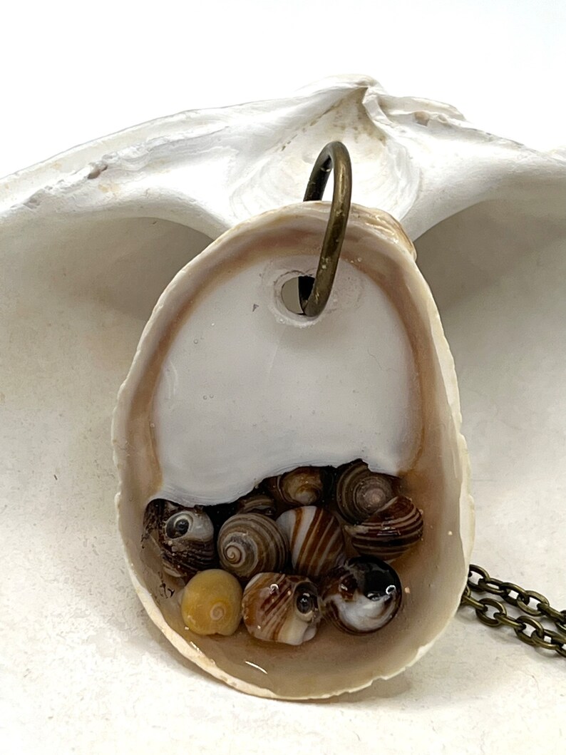 Lady Slipper Shell Periwinkle Necklace - Etsy