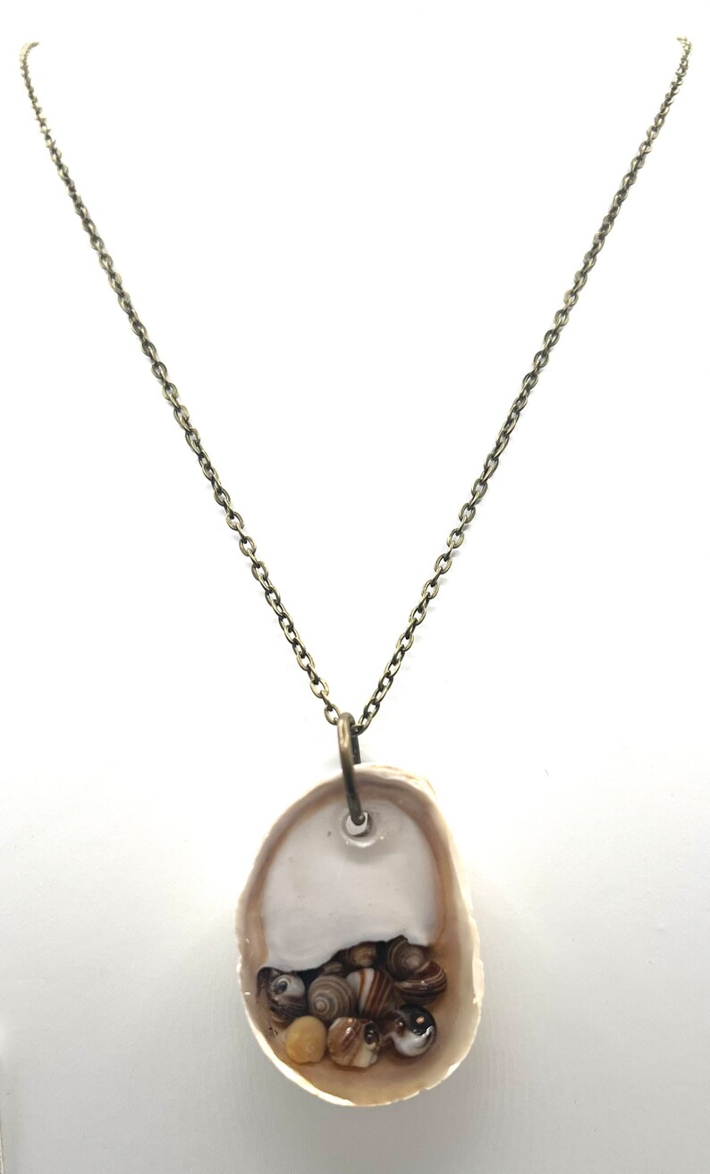 Lady Slipper Shell Periwinkle Necklace - Etsy
