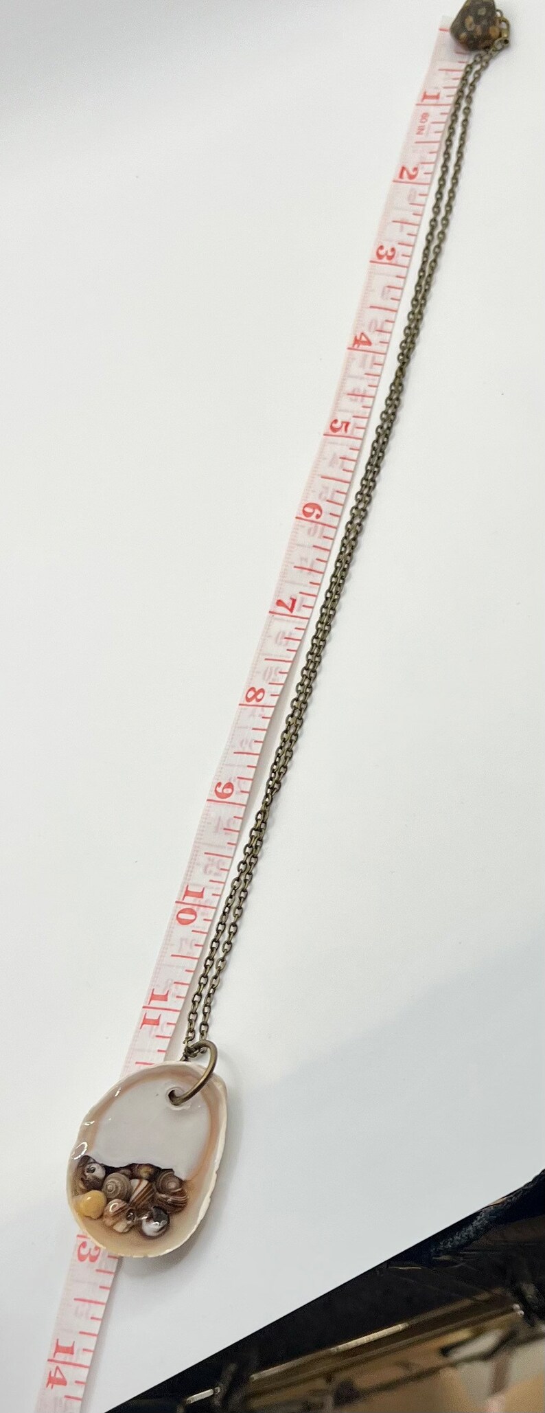 Lady Slipper Shell Periwinkle Necklace - Etsy