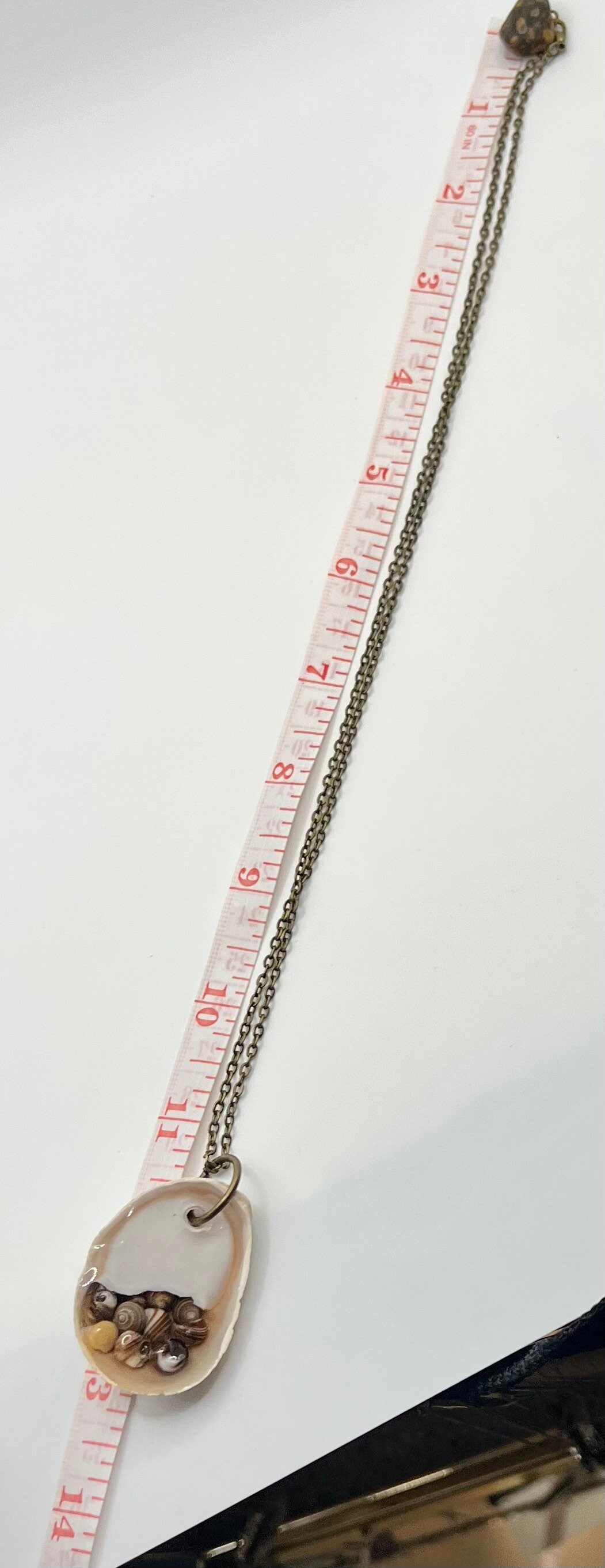 Lady Slipper Shell Periwinkle Necklace - Etsy