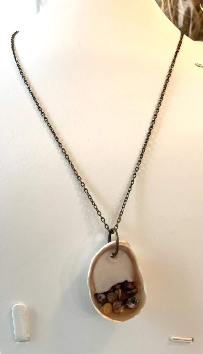 Lady Slipper Shell Periwinkle Necklace - Etsy