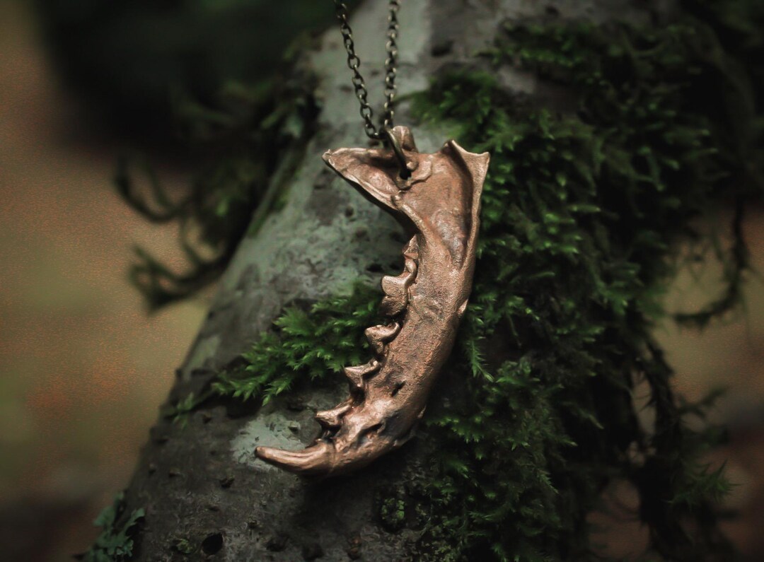 Bronze Animal Jaw Necklace, Jaw Necklace, Jaw Pendant, Pagan Witch ...