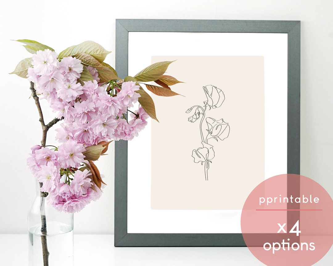 Sweet Pea Flower April Birth Month Line Art Drawing Minimalist X4 ...