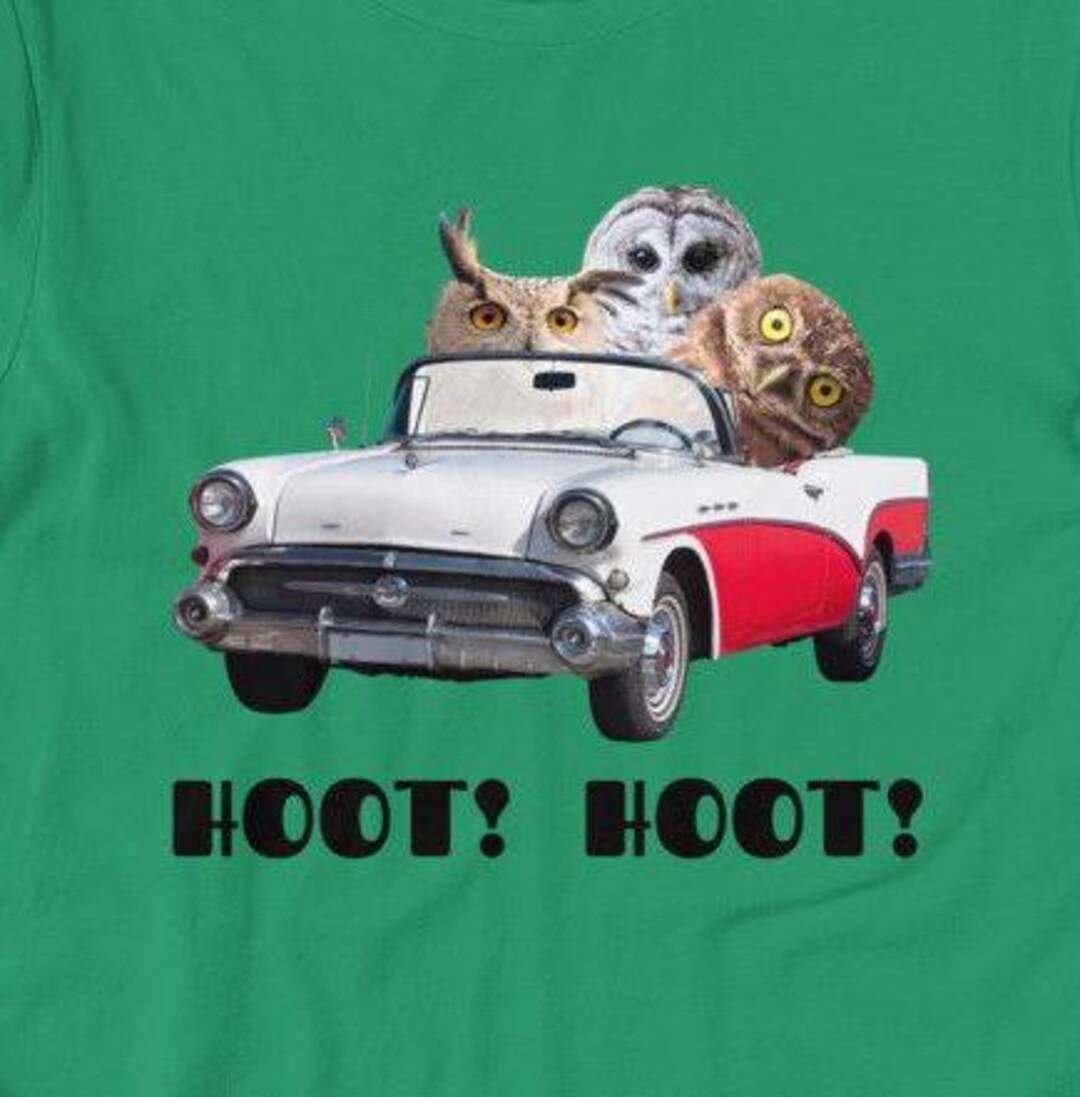 Owls Driving, Classic Car Lover, Owl Lover, Classic Convertible, Gifts ...