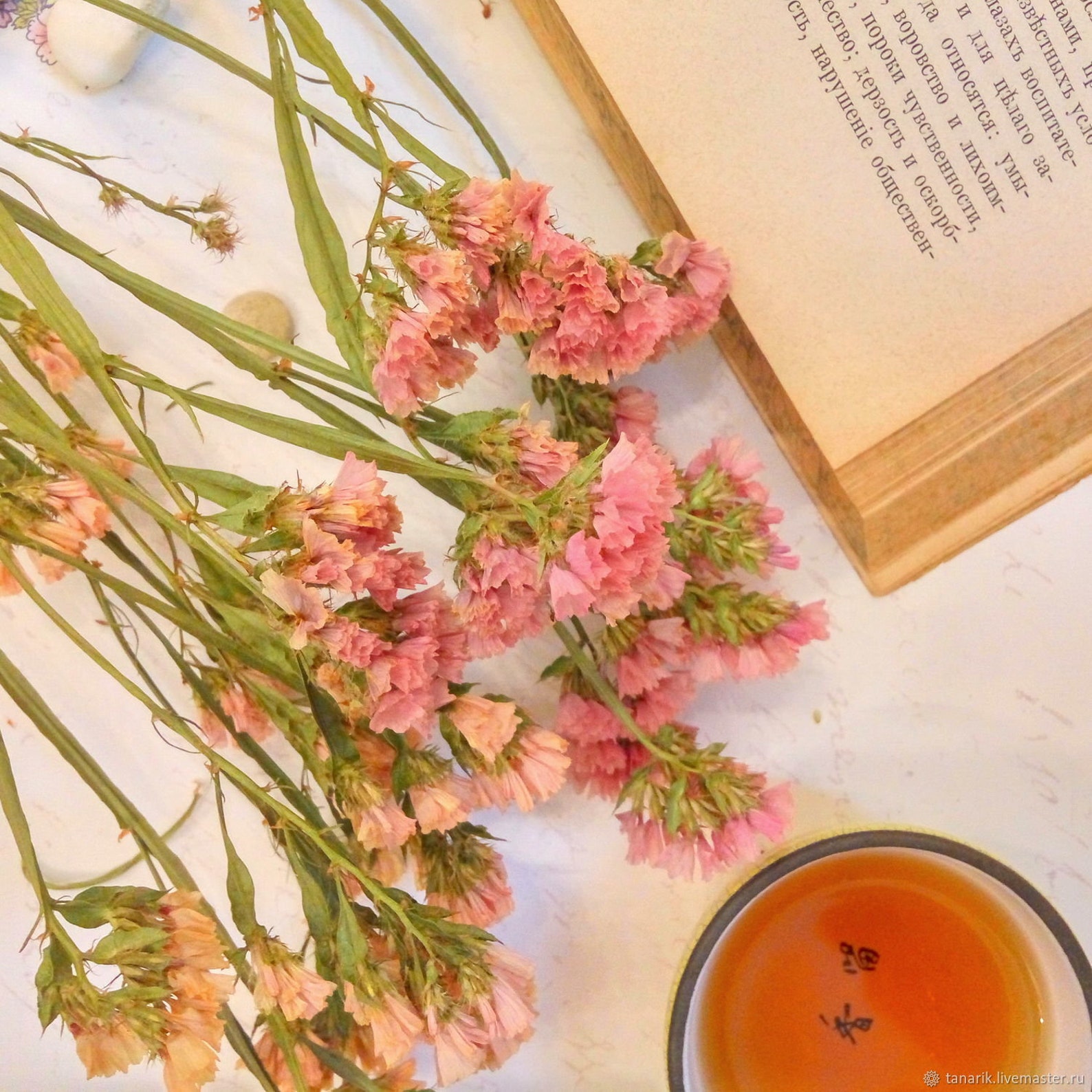 LIMONIUM SINUATUM APRICOT About 20-25 Flower Seeds - Etsy Denmark
