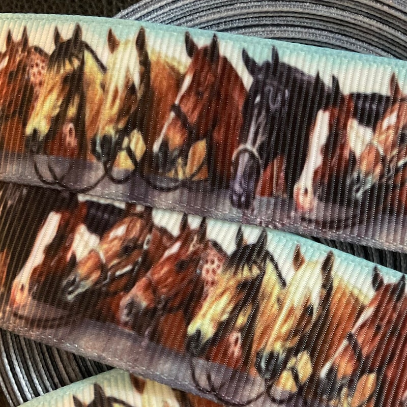 Horse Hair Ribbon - Etsy