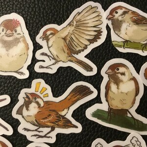 BIRDS, BIRDS, BIRDS! 40 Bird Stickers, Realistic Birds, Funny Birds ...