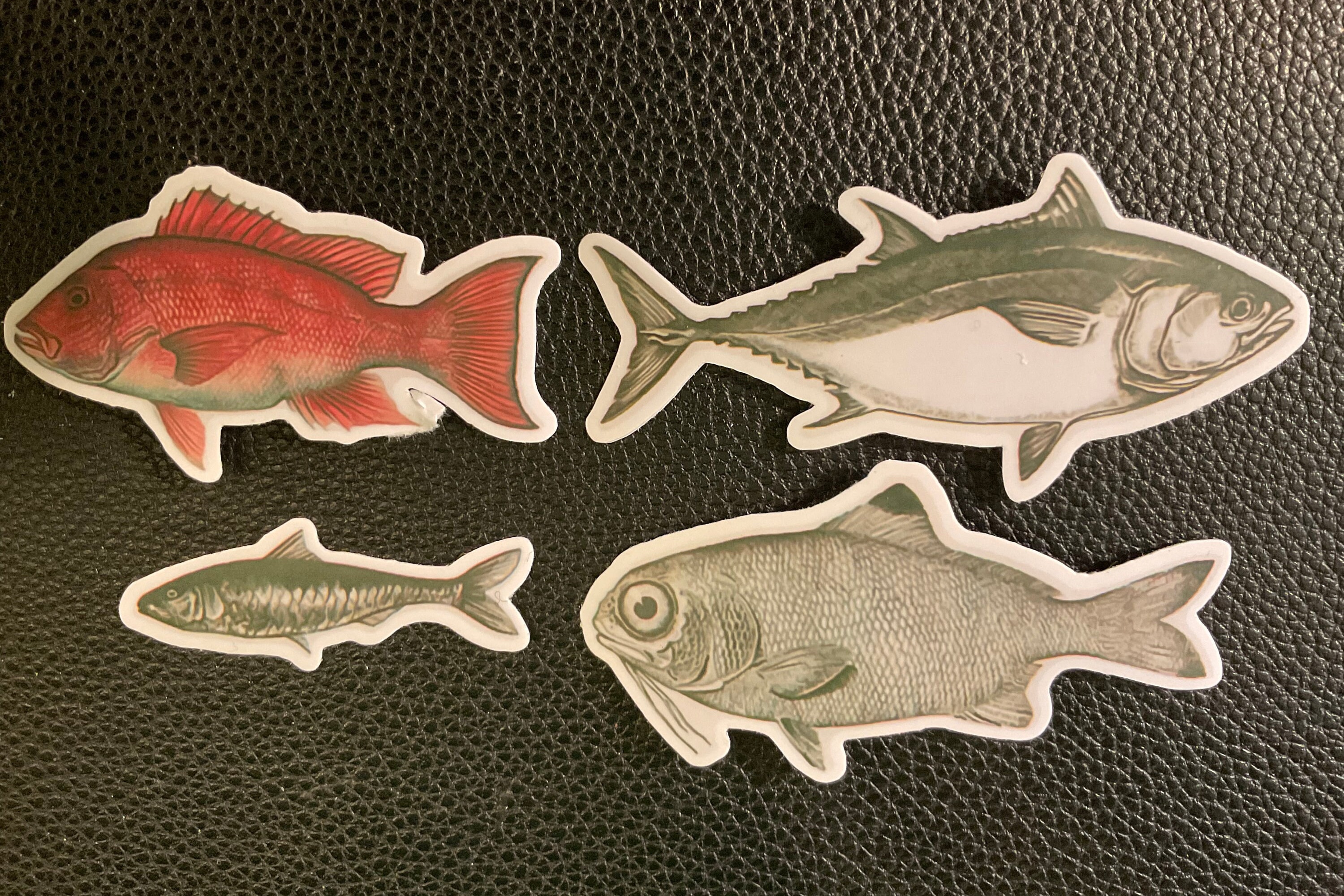 FUNKY FISH STICKERS! 16 Fish Stickers, Skinny Fish, Flying Fish ...