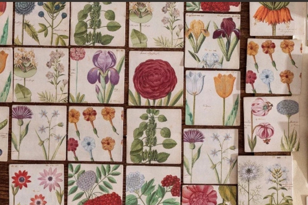 FLOWER STICKERS! 46 Pcs. of Beautiful Flowers, You Can Almost Smell ...