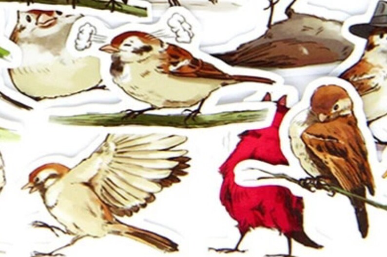 BIRDS, BIRDS, BIRDS! 40 Bird Stickers, Realistic Birds, Funny Birds ...