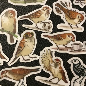BIRDS, BIRDS, BIRDS! 40 Bird Stickers, Realistic Birds, Funny Birds ...