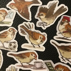 BIRDS, BIRDS, BIRDS! 40 Bird Stickers, Realistic Birds, Funny Birds ...