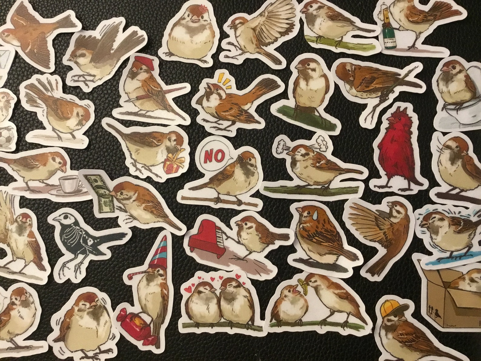BIRDS BIRDS BIRDS 40 Bird Stickers Realistic Birds Funny | Etsy