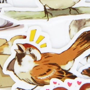 BIRDS, BIRDS, BIRDS! 40 Bird Stickers, Realistic Birds, Funny Birds ...