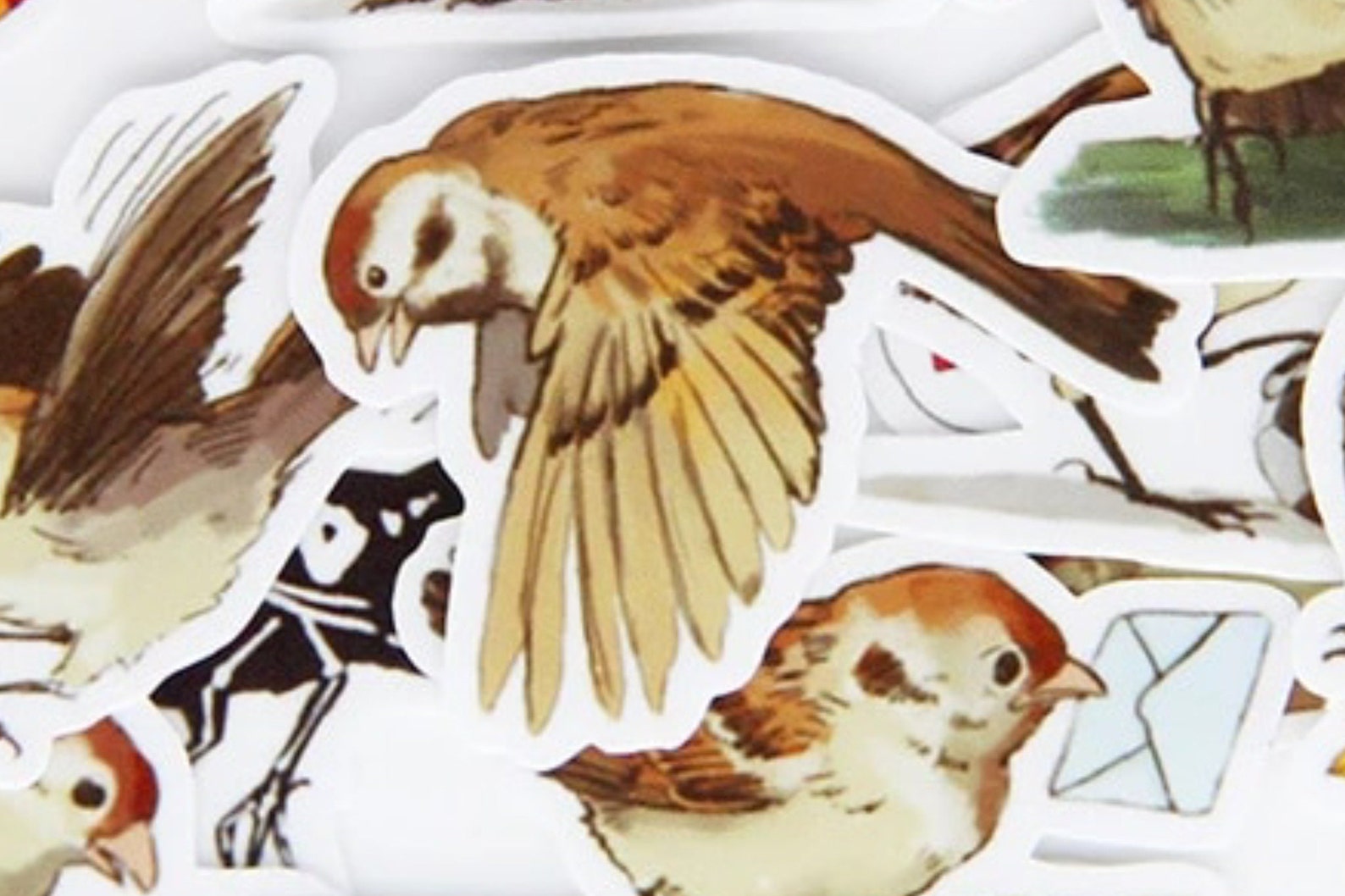 BIRDS BIRDS BIRDS 40 Bird Stickers Realistic Birds Funny | Etsy