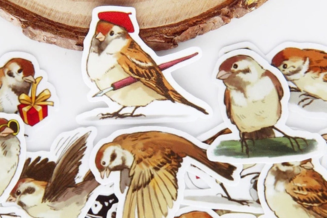 BIRDS, BIRDS, BIRDS! 40 Bird Stickers, Realistic Birds, Funny Birds ...