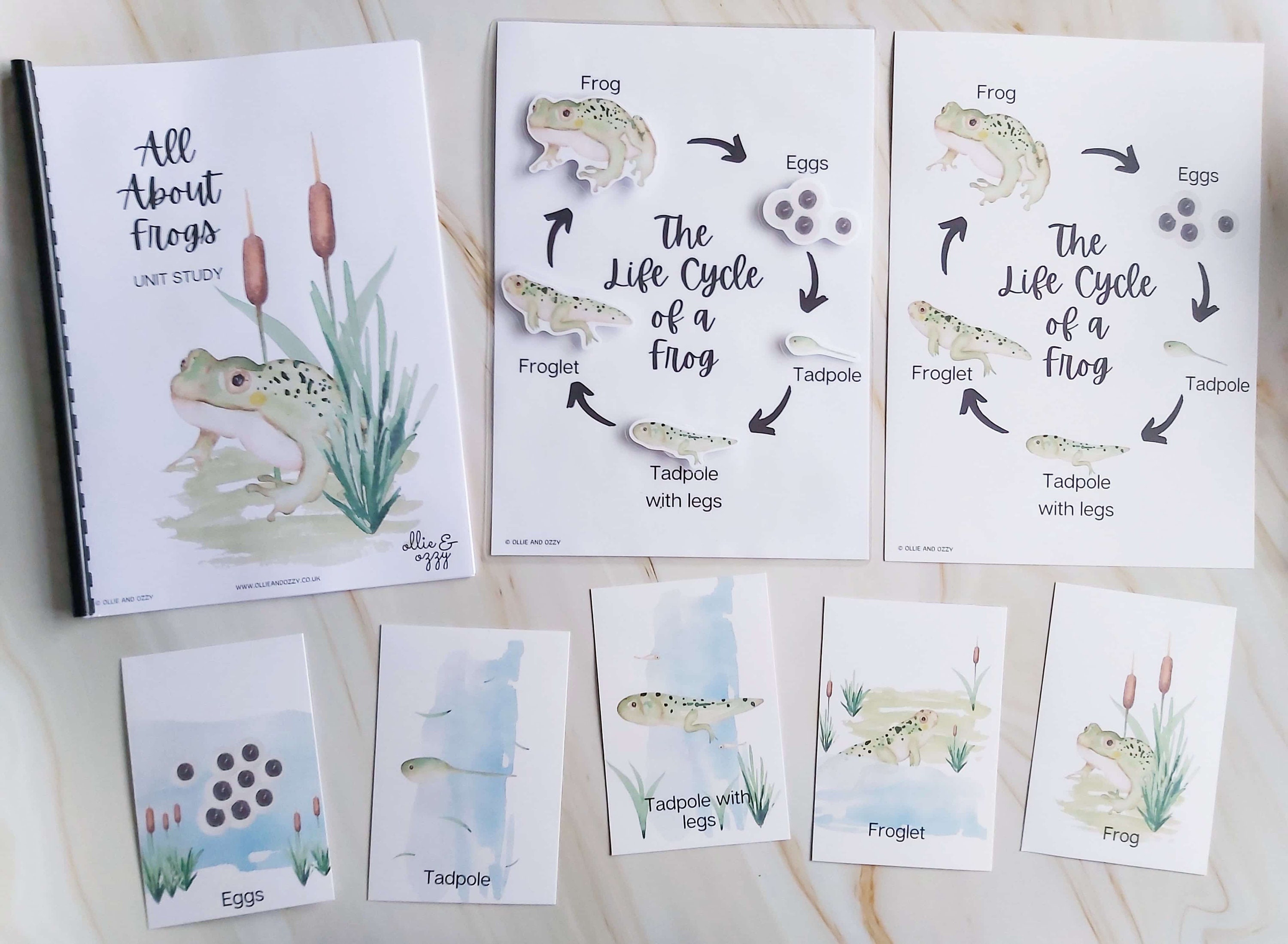 PRINTABLE Frog Unit Study, Life Cycle of a Frog Study Bundle - Etsy