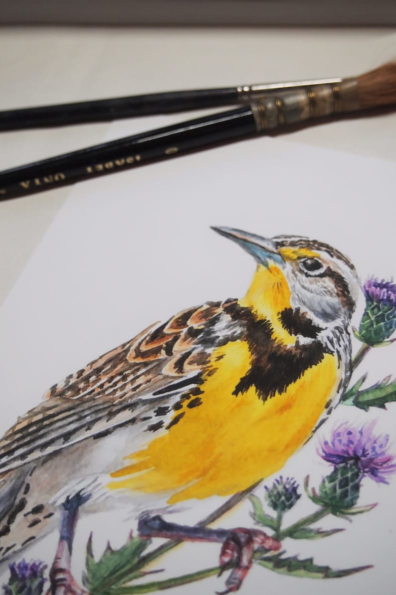 Western Meadowlark Print - Etsy