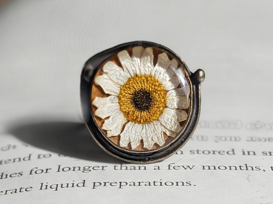 Daisy Ring, Real Daisy, Bronze Adjustable Floral Botanical Ring ...