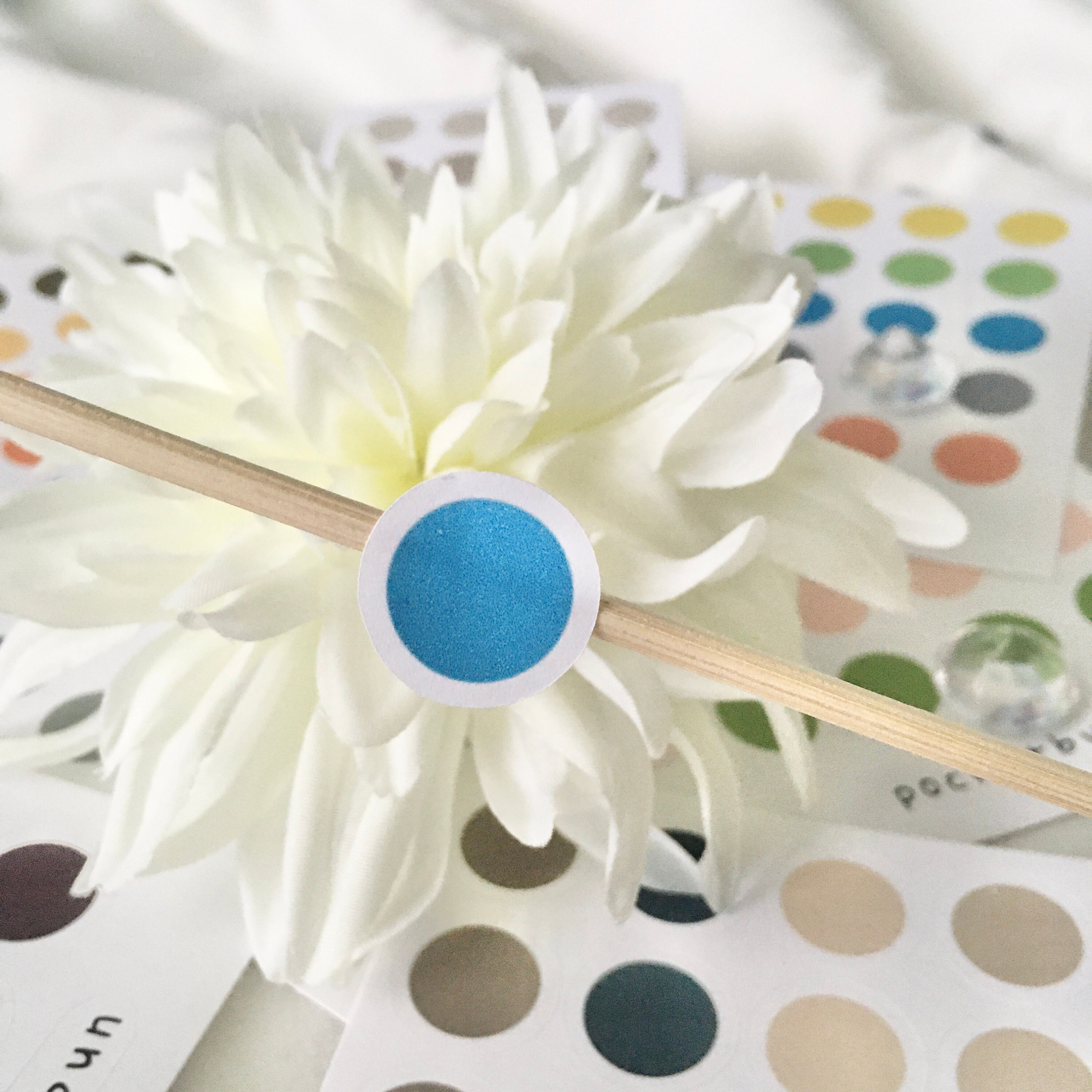 Pallet Dot Stickers V1 - Etsy