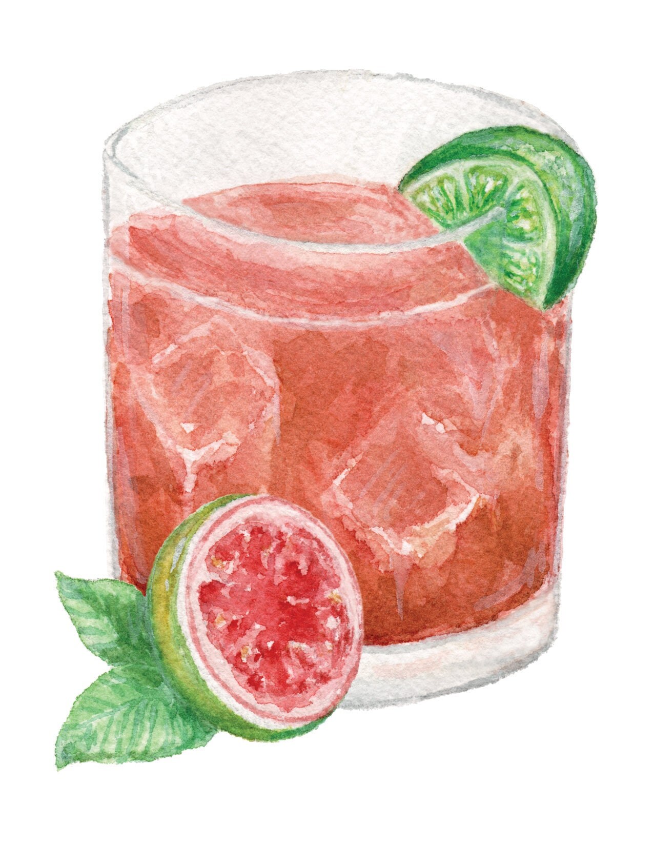 Guava Rum Cocktail Card or Print Watercolor Painting St. - Etsy