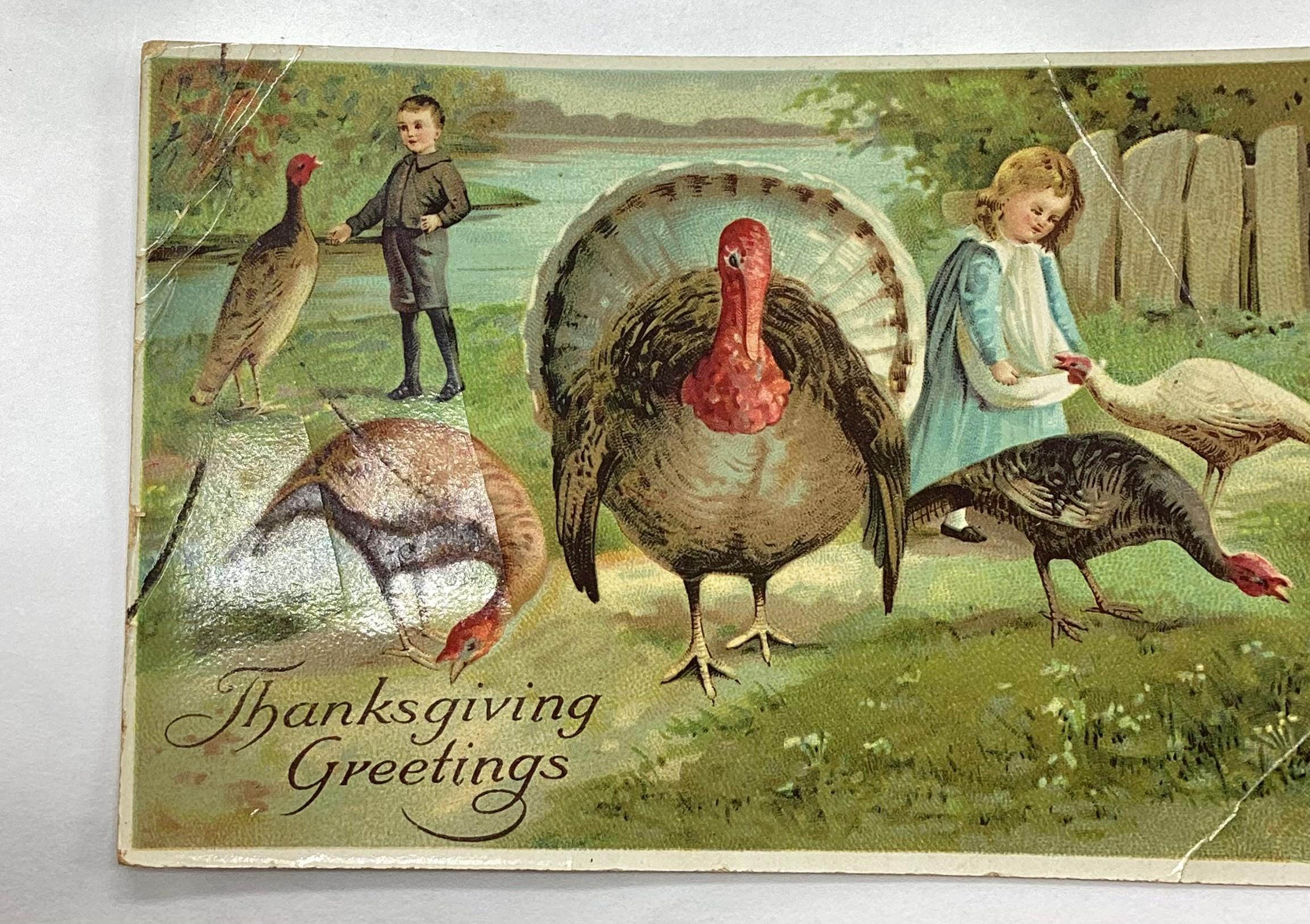 Original Thanksgiving 1900s Postcard - Turkeys and Children - Etsy