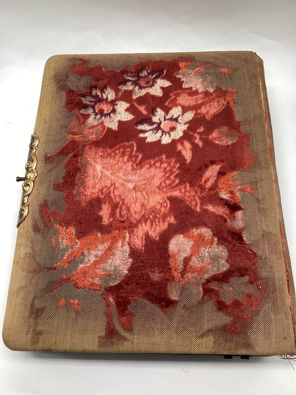 Victorian Celluloid Photo Album With 7 Cabinet Cards of Women and ...