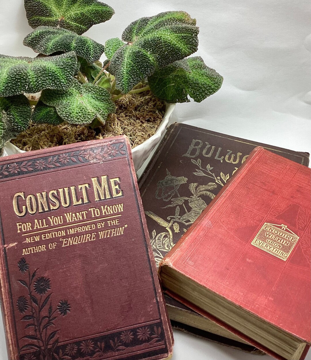 Unique Lot of 2 Victorian Self-help, Practical Household Books - Etsy