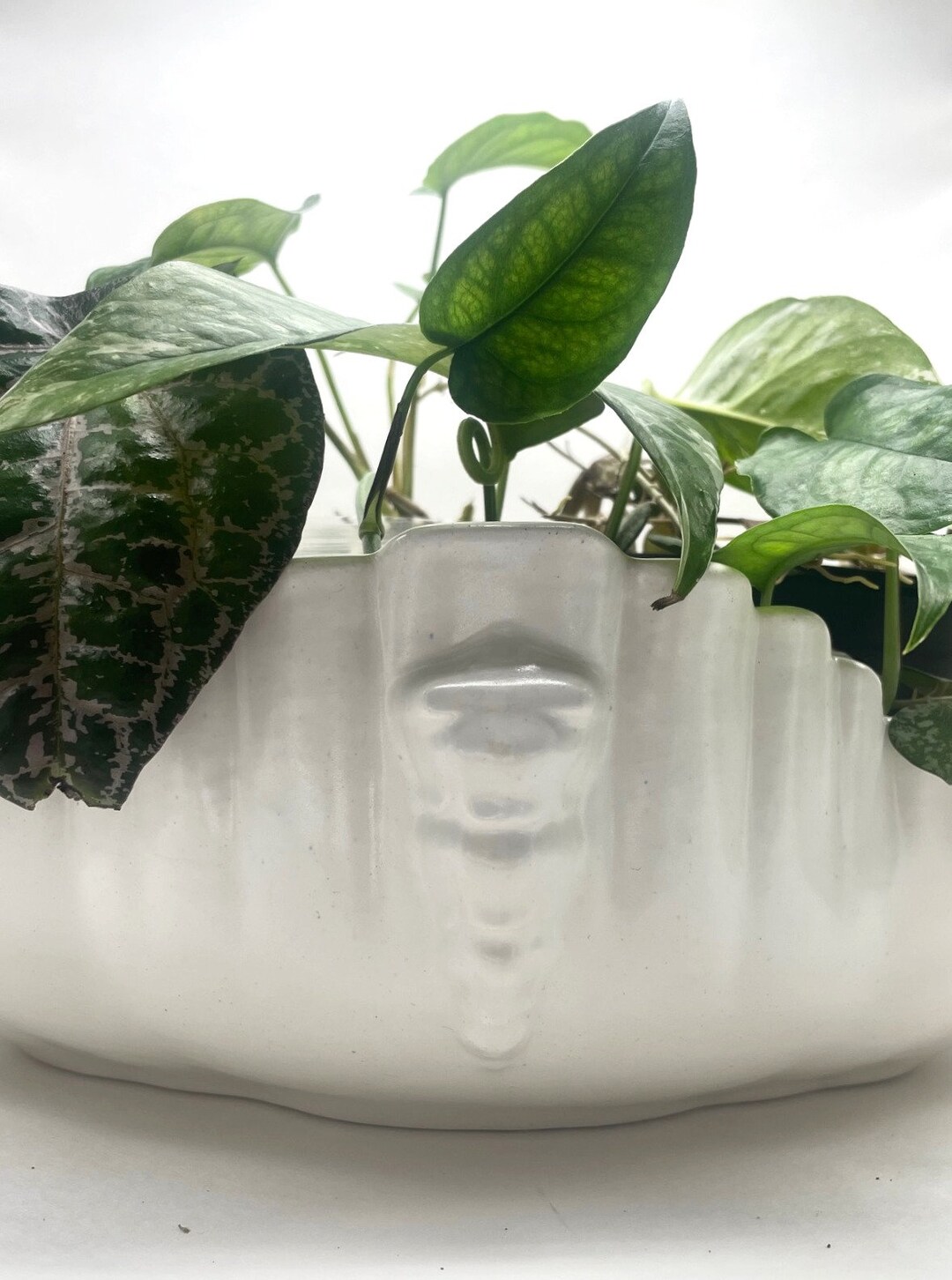 Large Midcentury Art Deco Oblong Planter - Classic White - Etsy