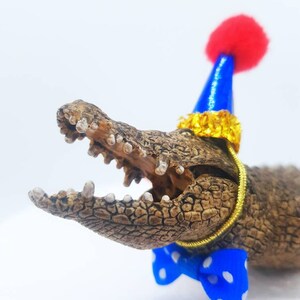 Crocodile Cake Topper / Party Croc / Crocodile Birthday / - Etsy