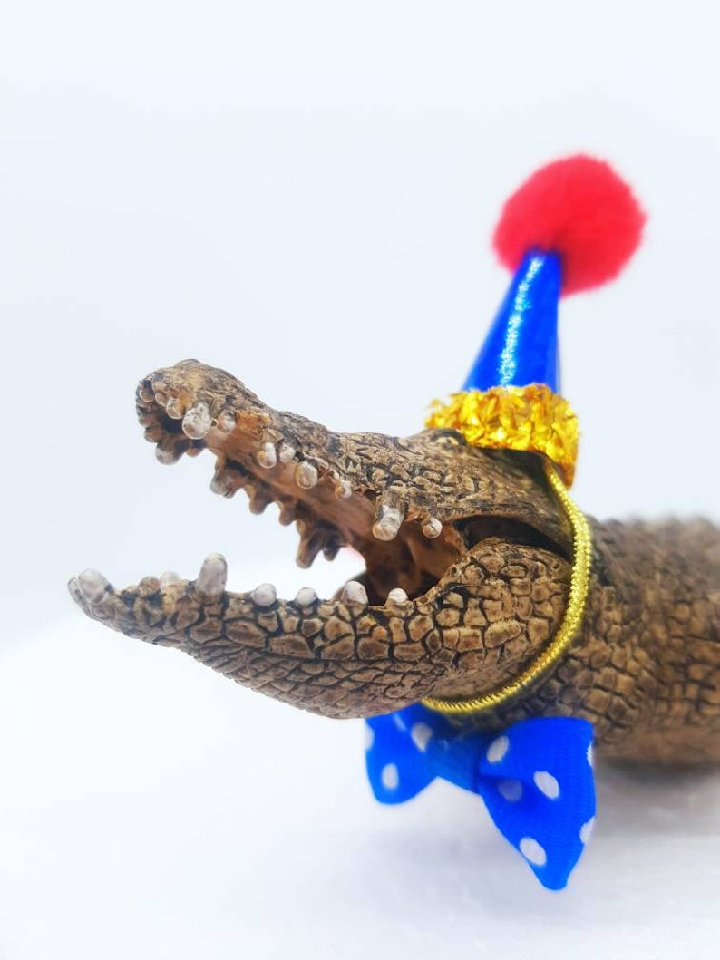 Crocodile Cake Topper / Party Croc / Crocodile Birthday / - Etsy
